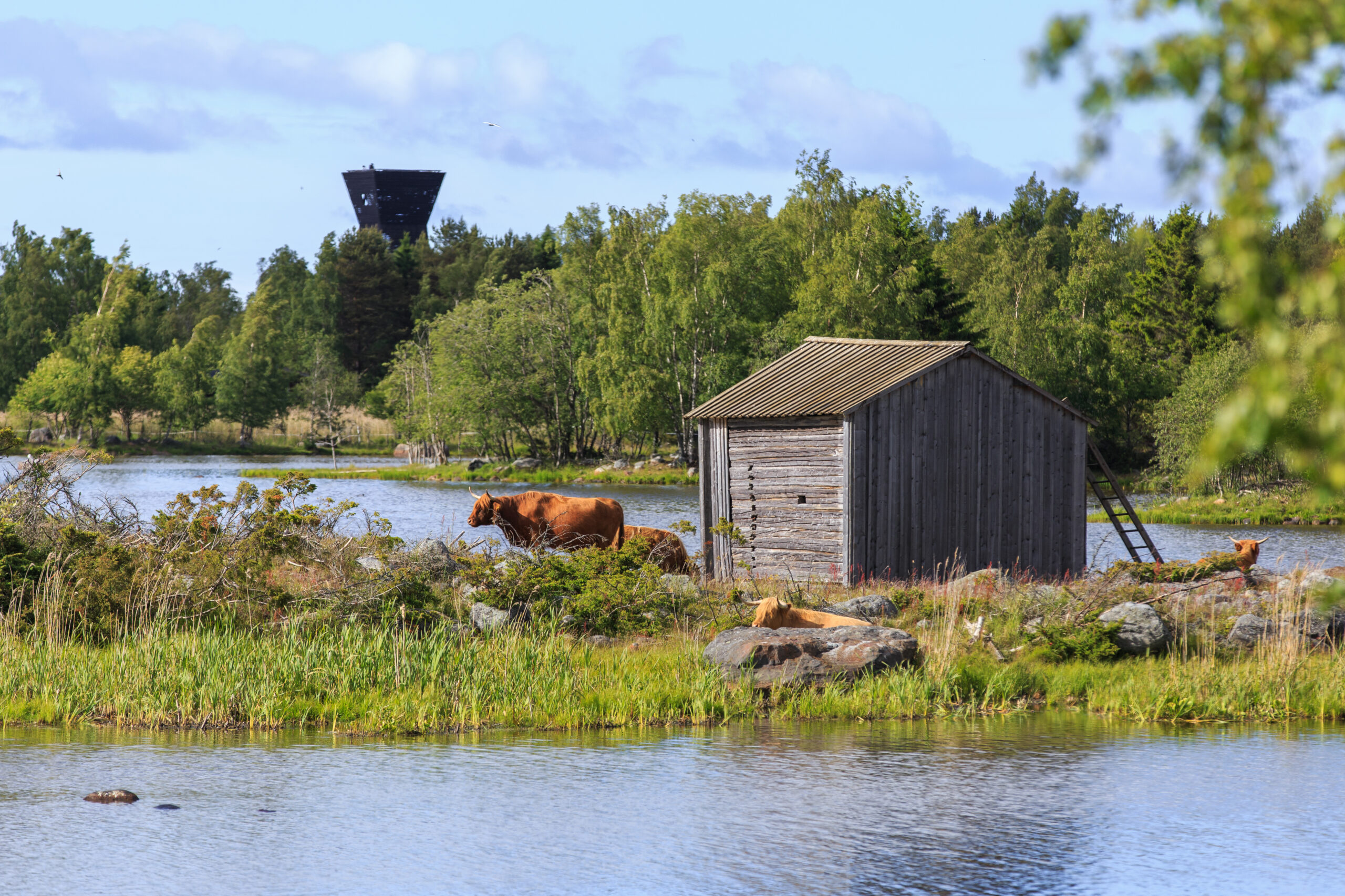Västkustens miljöenhet - Korsholm - Mustasaari