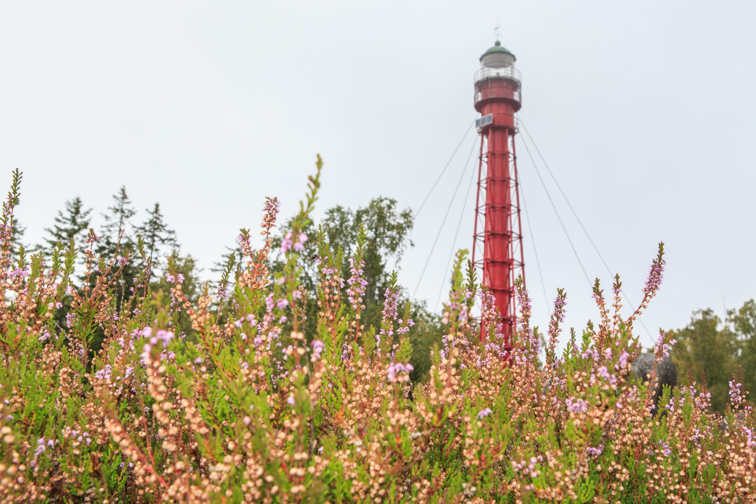 Valassaaret - Mustasaari - Korsholm