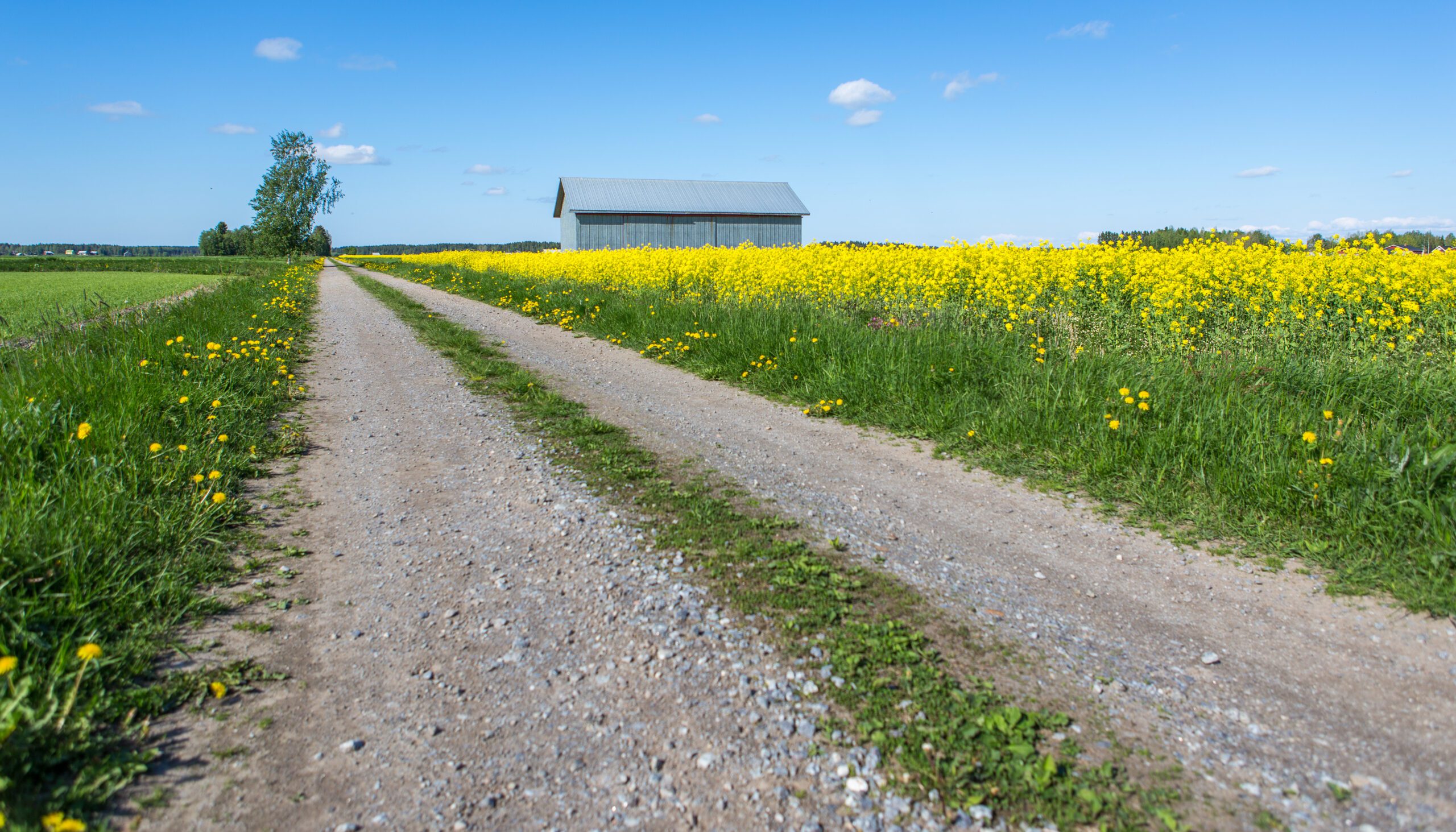 Suomenruotsalainen Maaseutuparlamentti 2024 järjestetään Mustasaaressa ...